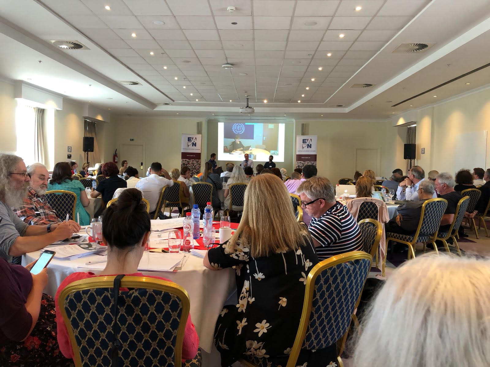 Social protection for all: how can the Social Pillar and SDGs build ...